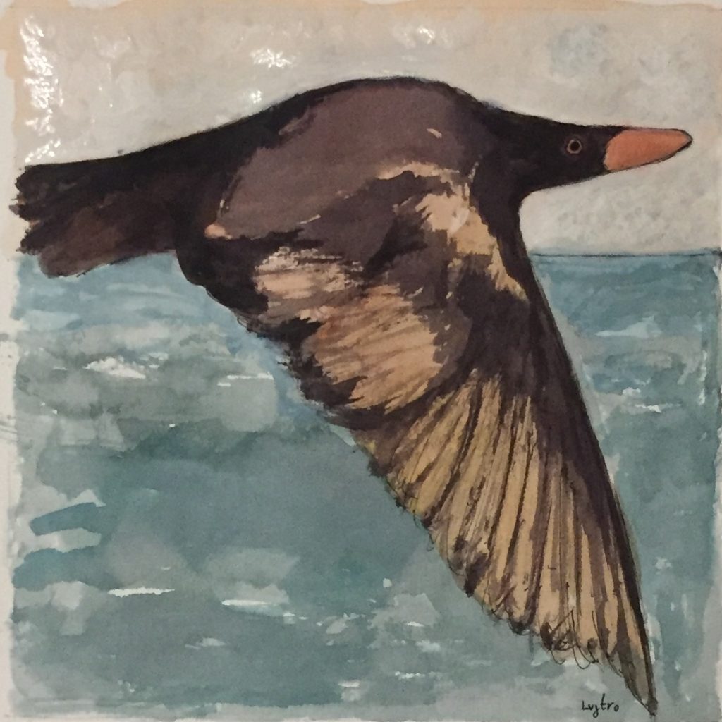 Sonetto alla méglio: l’uccello padulo - Just in Lucca